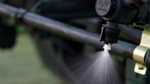 Getting the most out of your fungicide program | Syngenta Turf & Landscape