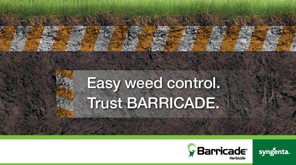 Barricade Herbicide | Easy Weed Control for Turf | Syngenta Australia
