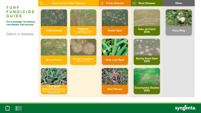 Turf Disease Fungicide Guide | TurfANZ
